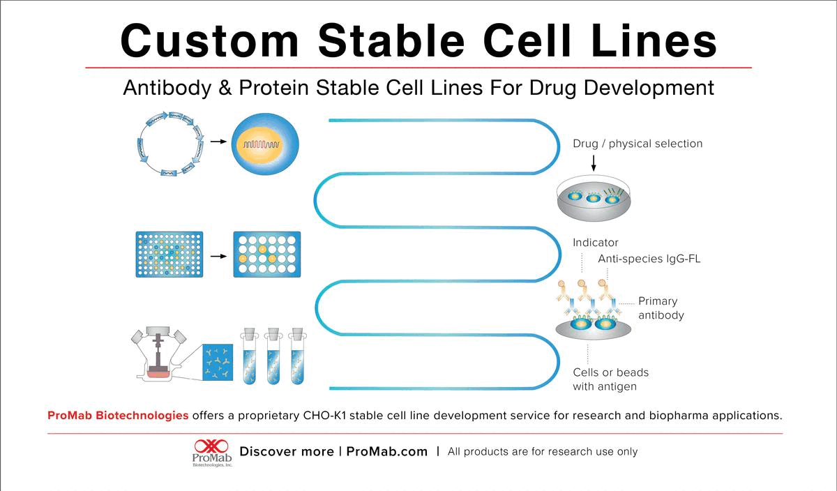 Custom Stable Cell Lines Custom Stable Cell Lines