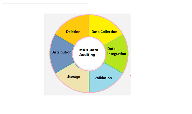 Ensuring Data Integrity: The Role of MDH Data Auditing in Modern ... Ensuring Data Integrity: The Role of MDH Data Auditing in Modern ...