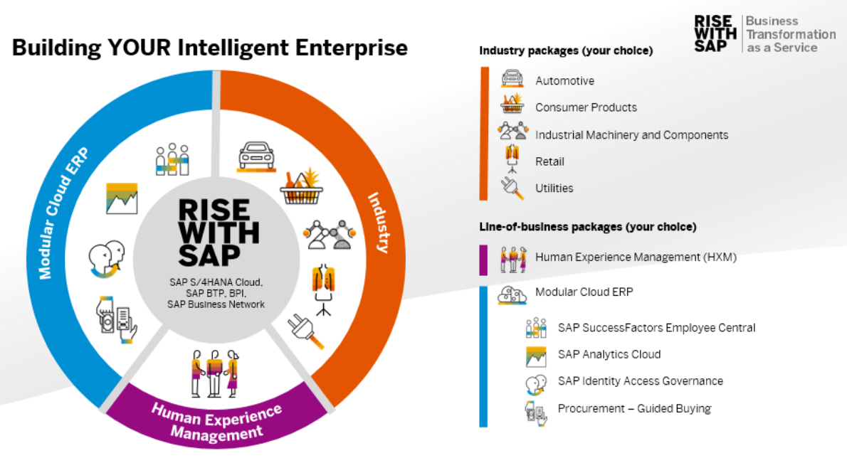 RISE WITH SAP - INTRODUCTION SUMMARY RISE WITH SAP - INTRODUCTION SUMMARY