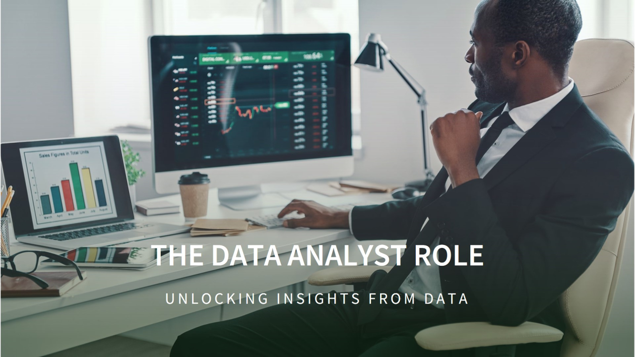 The Data Analyst Role The Data Analyst Role