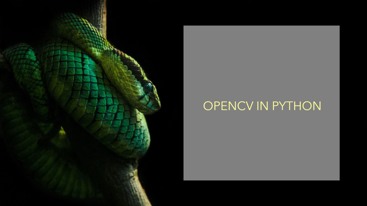 Getting Started with OpenCV in Python: A Beginner's Guide Getting Started with OpenCV in Python: A Beginner's Guide