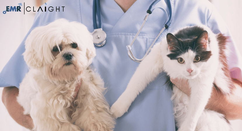 Companion Animal Healthcare Market Size, Share, Growth Analysis & Trend ... Companion Animal Healthcare Market Size, Share, Growth Analysis & Trend ...