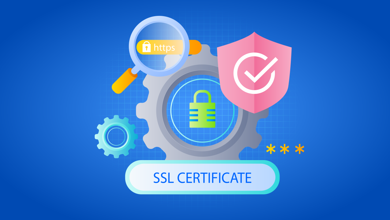 The Importance of E-commerce Website Security and SSL Certificates The Importance of E-commerce Website Security and SSL Certificates