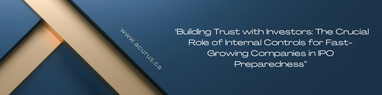 Building Trust with Investors: The Crucial Role of Internal Controls ... Building Trust with Investors: The Crucial Role of Internal Controls ...