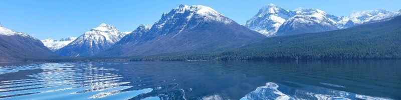 Thomas Watson on LinkedIn: A Deeper Dive Into Indexed Universal Life ... Thomas Watson on LinkedIn: A Deeper Dive Into Indexed Universal Life ...