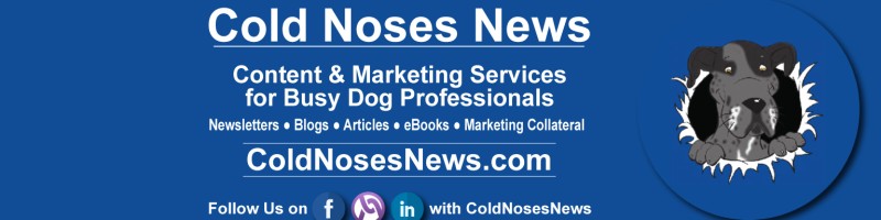Bobbie Abdallah on LinkedIn: How to Decode Horse Jargon: An Easy ... Bobbie Abdallah on LinkedIn: How to Decode Horse Jargon: An Easy ...