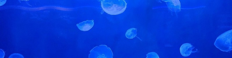 S. Brigette Whaley, Ph.D. on LinkedIn: Designing Learner-Centered and ... S. Brigette Whaley, Ph.D. on LinkedIn: Designing Learner-Centered and ...