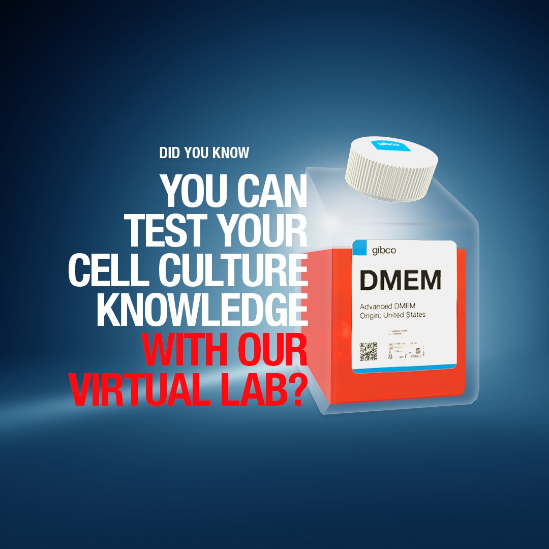 Thermo Fisher Scientific on LinkedIn: Gibco Cell Culture Basics Virtual ... Thermo Fisher Scientific on LinkedIn: Gibco Cell Culture Basics Virtual ...