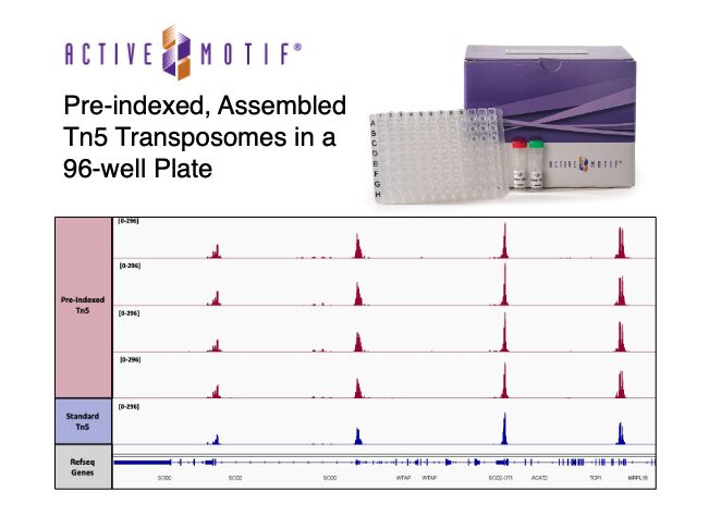 Active Motif on LinkedIn: #tn5 #atacseq #epigenetics #genomics Active Motif on LinkedIn: #tn5 #atacseq #epigenetics #genomics