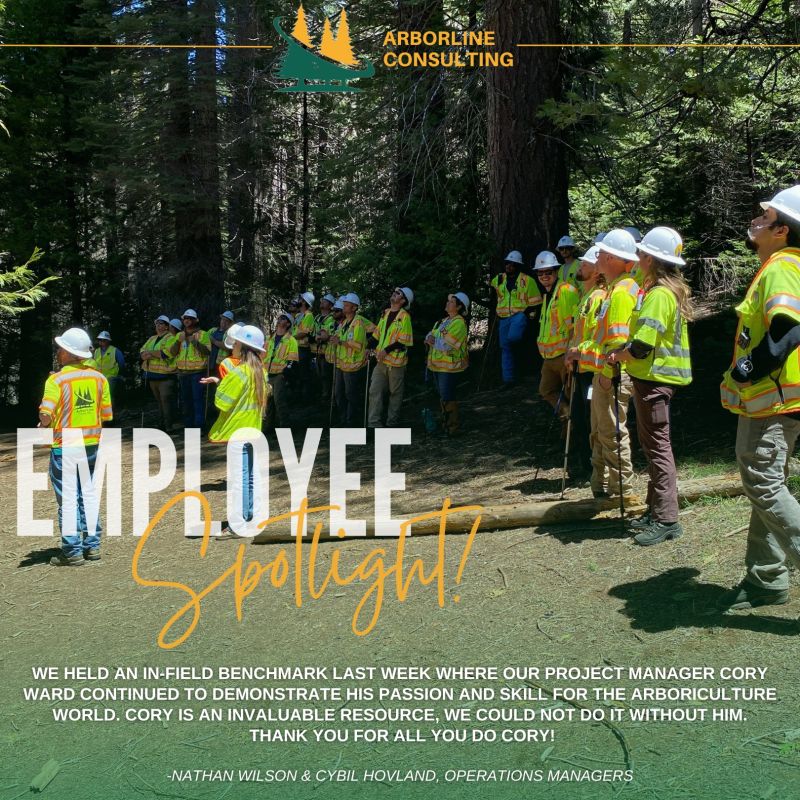 ArborLine Consulting, LLC on LinkedIn: #employeespotlight ArborLine Consulting, LLC on LinkedIn: #employeespotlight