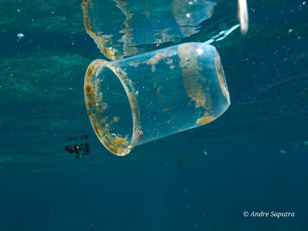 Raditya Andrean Saputra on LinkedIn: #marinedebris #indonesia Raditya Andrean Saputra on LinkedIn: #marinedebris #indonesia