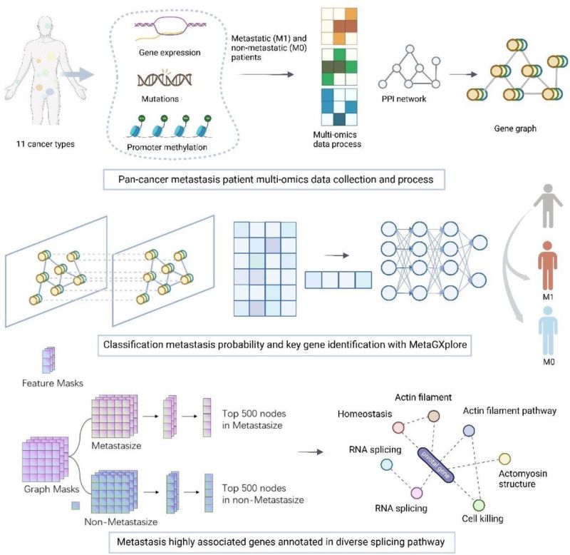 CBIRT, Centre of Bioinformatics Research & Tech on LinkedIn: # ... CBIRT, Centre of Bioinformatics Research & Tech on LinkedIn: # ...
