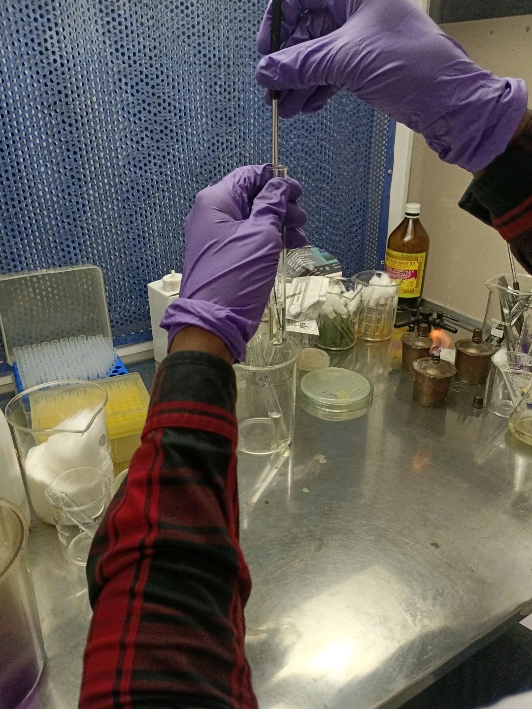 Chinmaya Prasad on LinkedIn: Catalase Test: Indicated the presence of ... Chinmaya Prasad on LinkedIn: Catalase Test: Indicated the presence of ...