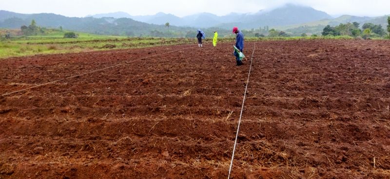 Shazil Hassan on LinkedIn: #sugarcane #research Shazil Hassan on LinkedIn: #sugarcane #research