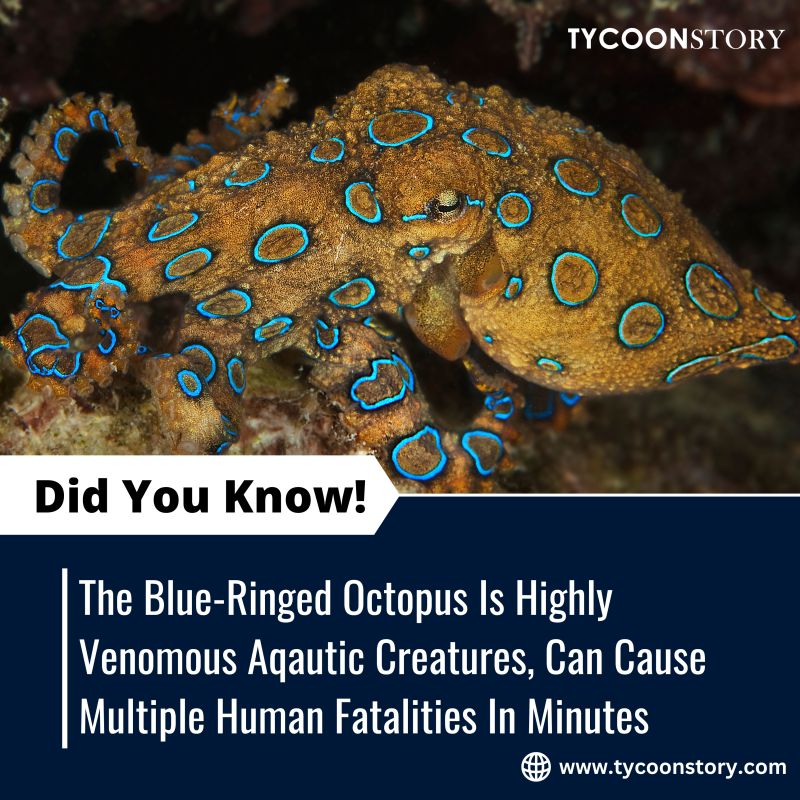 Haritha Mathi on LinkedIn: #didyouknow #didyouknow #facts #knowledge # ... Haritha Mathi on LinkedIn: #didyouknow #didyouknow #facts #knowledge # ...