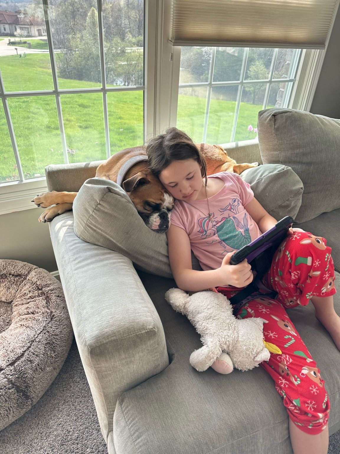 Francine Trimble on LinkedIn: My bully baby Princess Buttercup aka ... Francine Trimble on LinkedIn: My bully baby Princess Buttercup aka ...