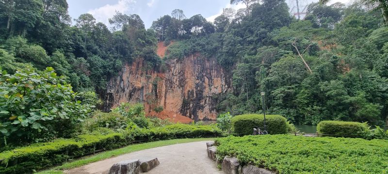 Robin C. Lee on LinkedIn: #saturday #littlegulin #bukitbatokpark Robin C. Lee on LinkedIn: #saturday #littlegulin #bukitbatokpark