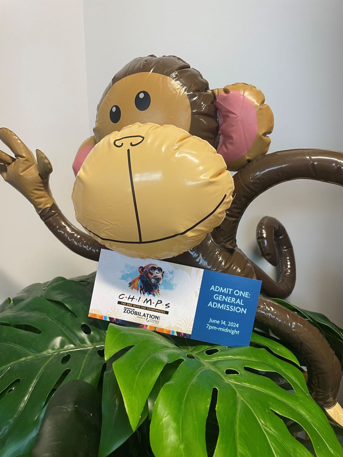 CBIZ Somerset on LinkedIn: #indyzoo CBIZ Somerset on LinkedIn: #indyzoo