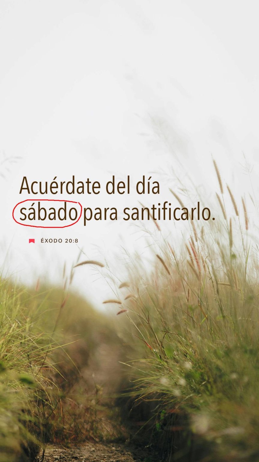Francisco Castillo Porras posted on LinkedIn Francisco Castillo Porras posted on LinkedIn