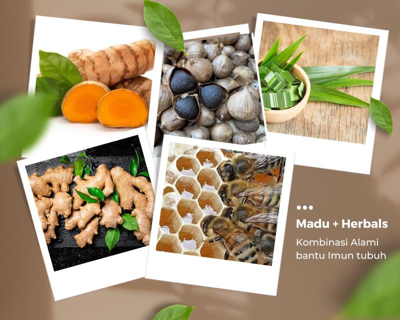 Yohandita Budi Utomo on LinkedIn: Menjaga Stamina, tidurpun Nyenyak ... Yohandita Budi Utomo on LinkedIn: Menjaga Stamina, tidurpun Nyenyak ...
