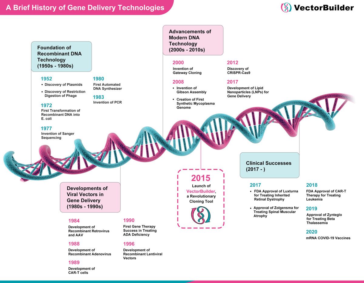 VectorBuilder on LinkedIn: The Celebration of Gene Delivery continues ... VectorBuilder on LinkedIn: The Celebration of Gene Delivery continues ...