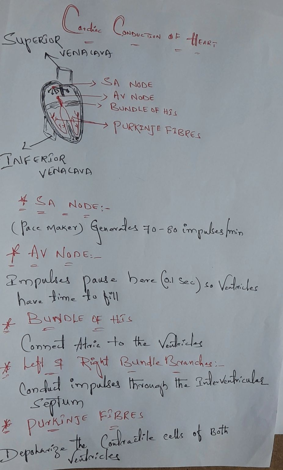 MD AZHARUDDIN on LinkedIn: Conduction Of Heart MD AZHARUDDIN on LinkedIn: Conduction Of Heart