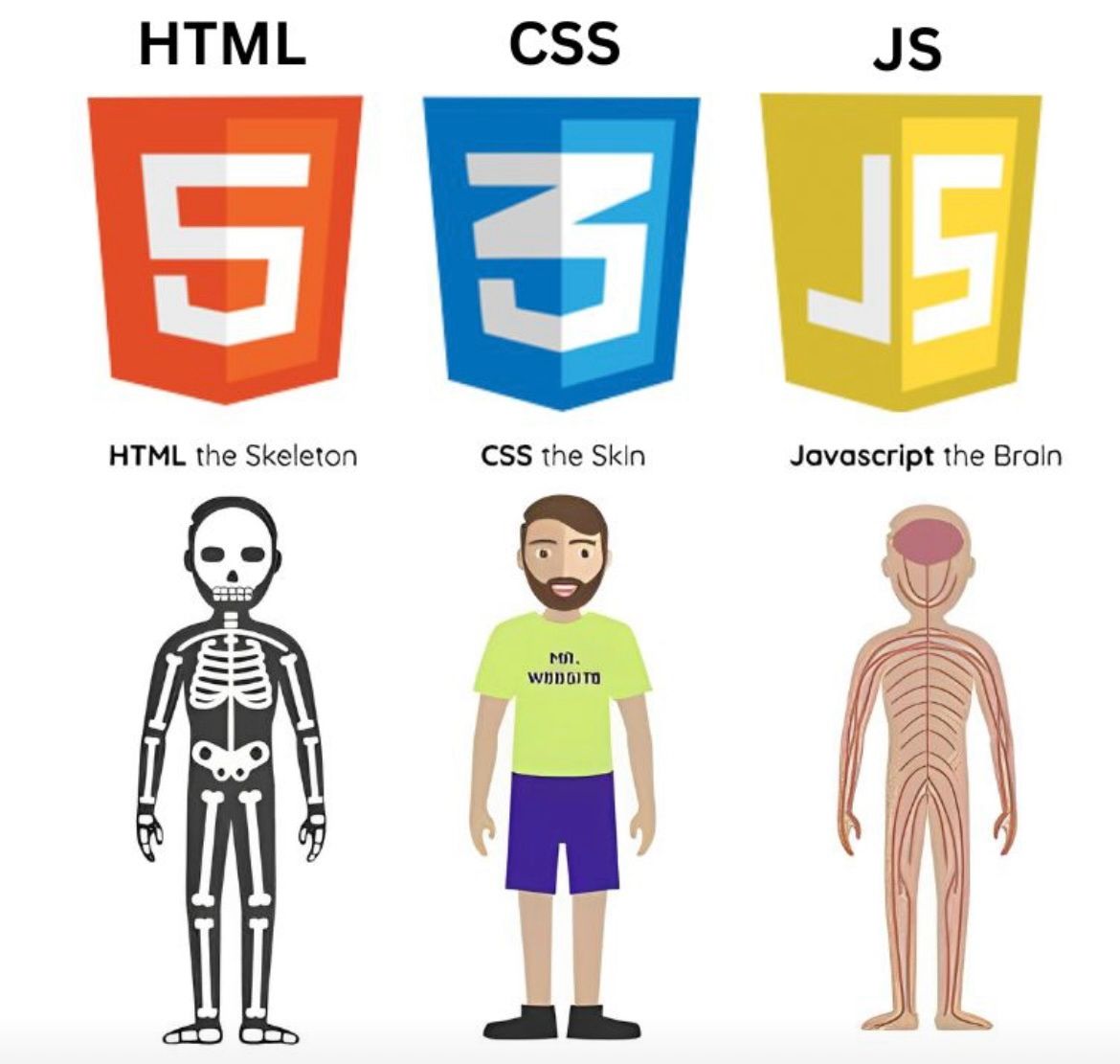 Sachin Beniwal on LinkedIn: How I would describe HTML , CSS ... Sachin Beniwal on LinkedIn: How I would describe HTML , CSS ...