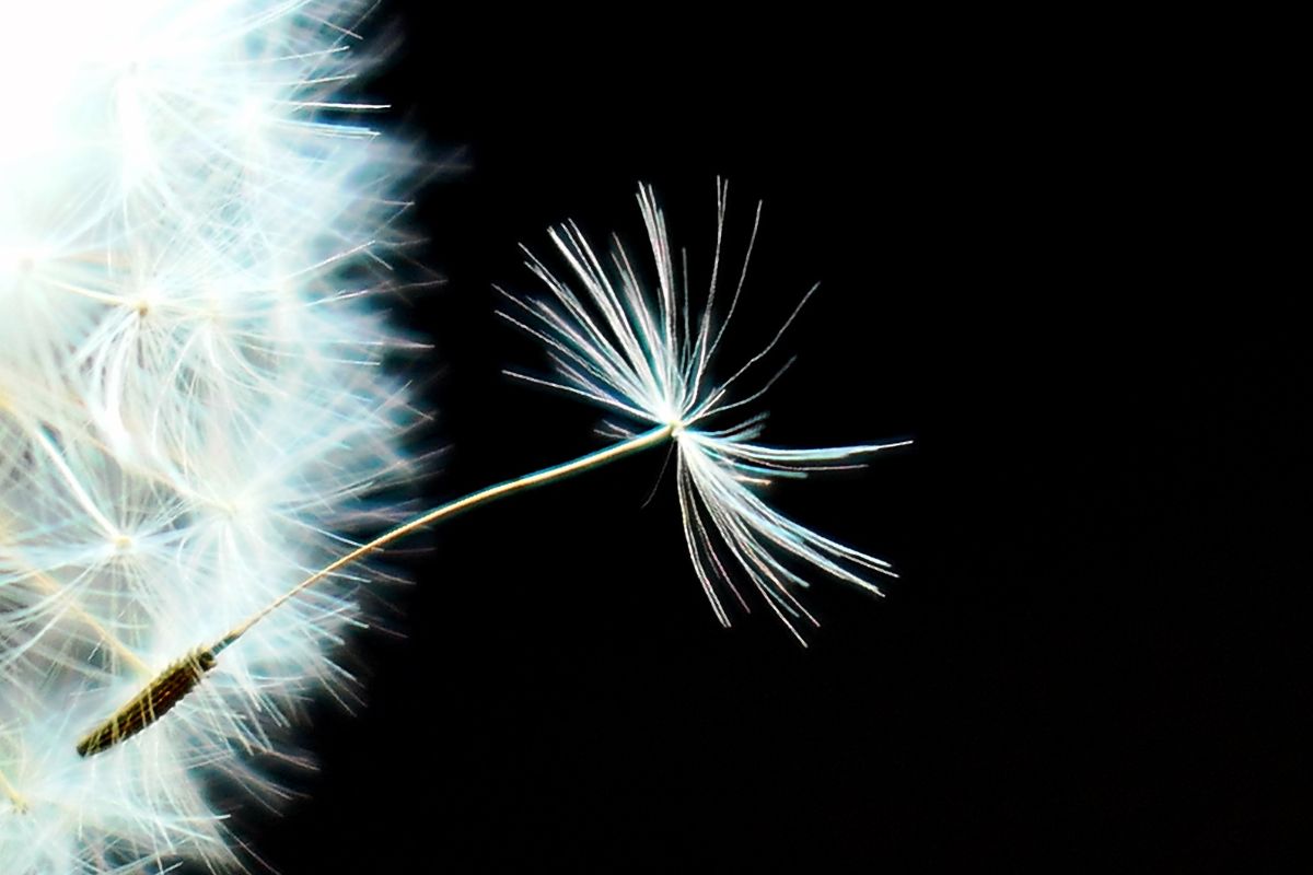 Mary Shields PhD on LinkedIn: What’s the difference between reactivity ... Mary Shields PhD on LinkedIn: What’s the difference between reactivity ...