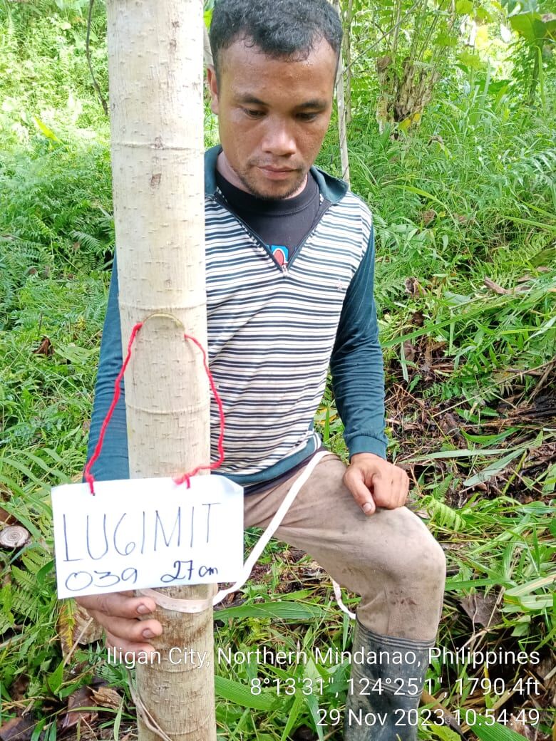 Datu Lanelio Sangcoan on LinkedIn: Introducing the fast-growing native ... Datu Lanelio Sangcoan on LinkedIn: Introducing the fast-growing native ...