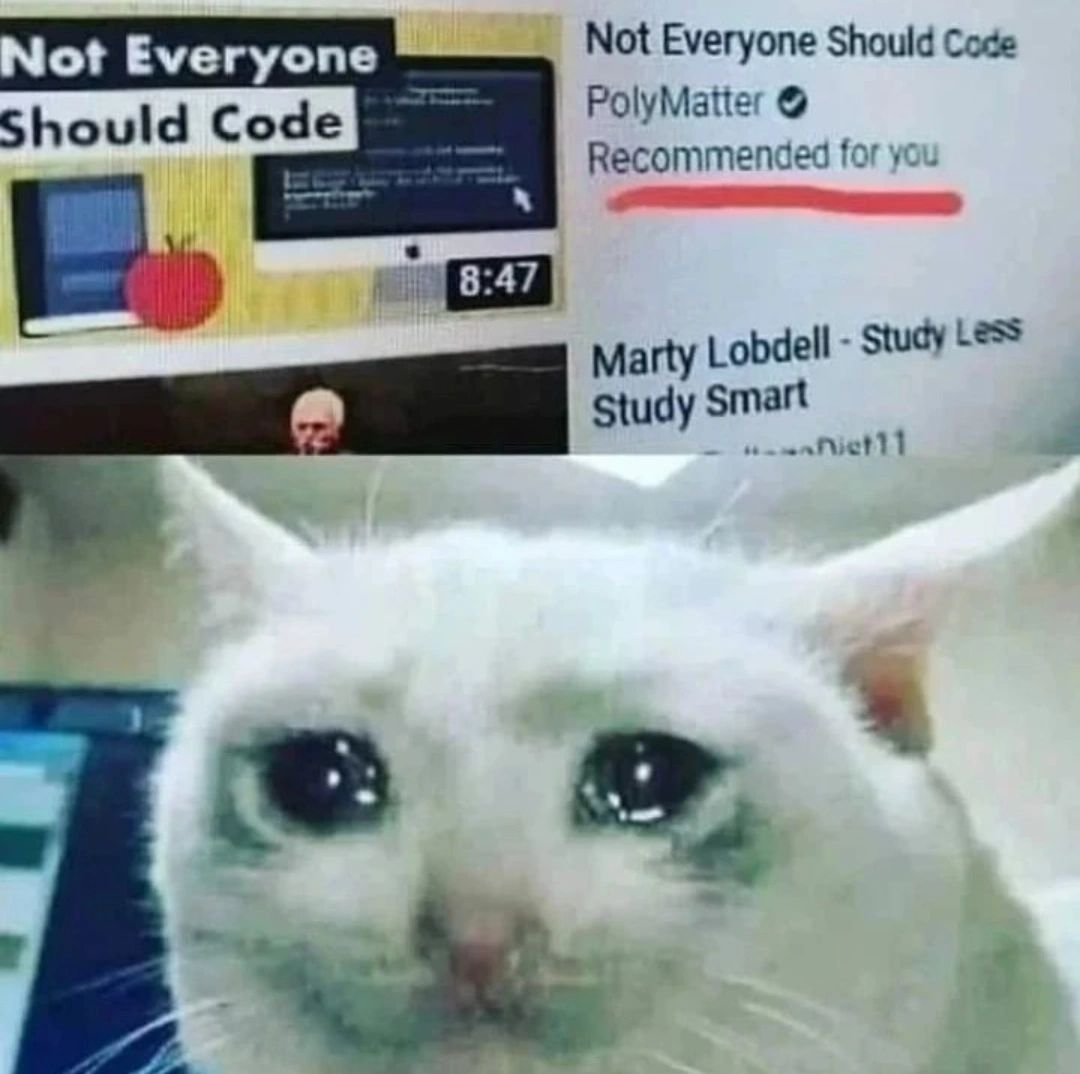 Rajkamal Shah on LinkedIn: #javascript #memes #coding Rajkamal Shah on LinkedIn: #javascript #memes #coding
