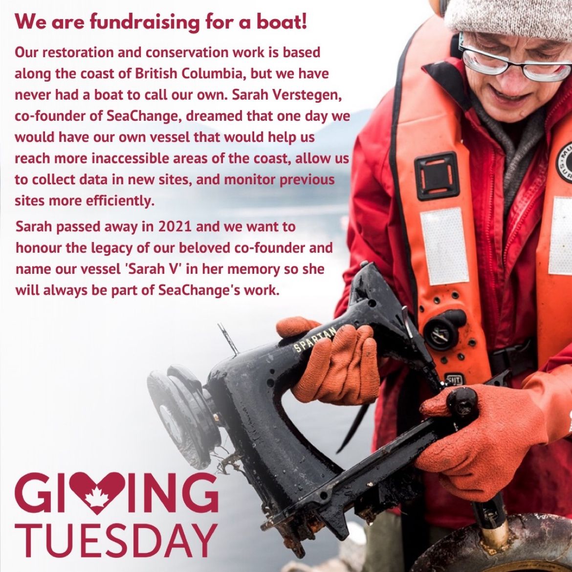 SeaChange Marine Conservation Society on LinkedIn: #givingtuesday SeaChange Marine Conservation Society on LinkedIn: #givingtuesday