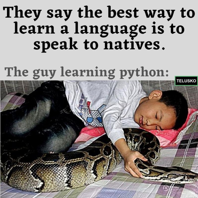 Navin Reddy on LinkedIn: #python #programming #telusko Navin Reddy on LinkedIn: #python #programming #telusko