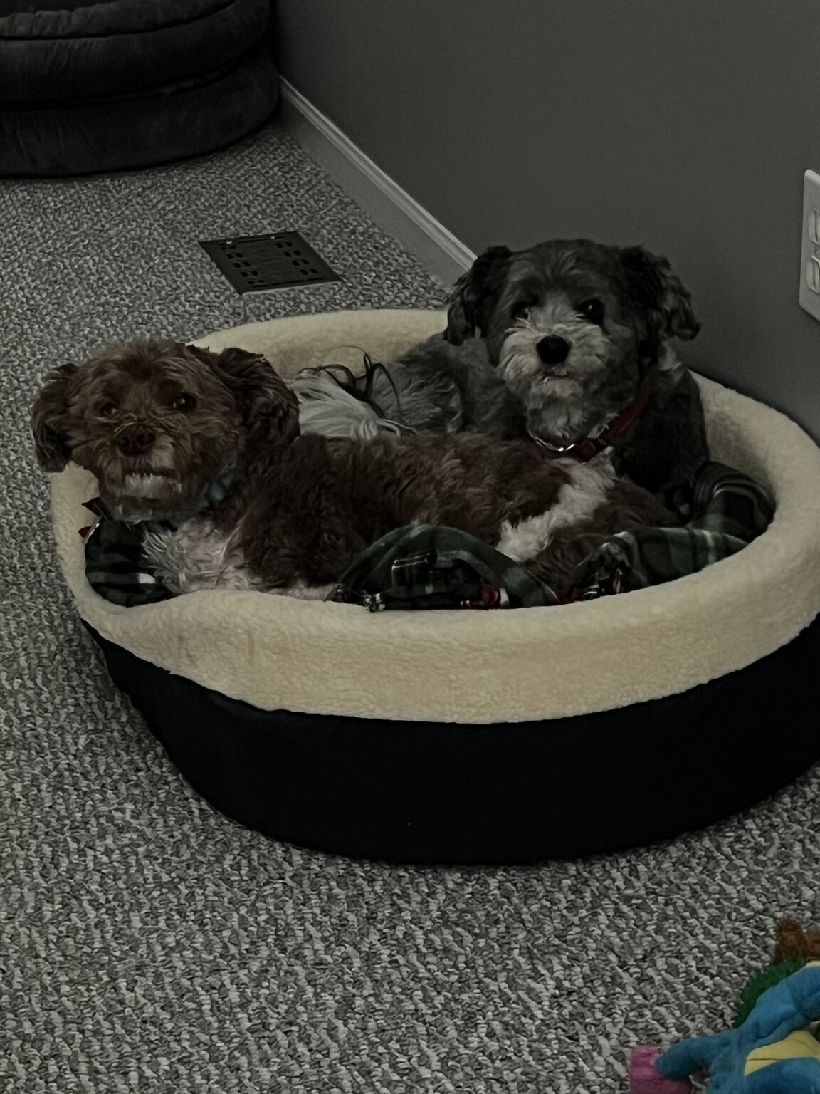 Cari A. Neises-O'Connor, MSN, LNC, RN, CNOR on LinkedIn: These two have ... Cari A. Neises-O'Connor, MSN, LNC, RN, CNOR on LinkedIn: These two have ...