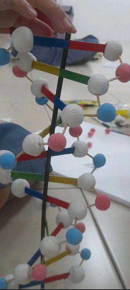 Renjith Rajan on LinkedIn: Decoding life-Exploration through DNA model ... Renjith Rajan on LinkedIn: Decoding life-Exploration through DNA model ...