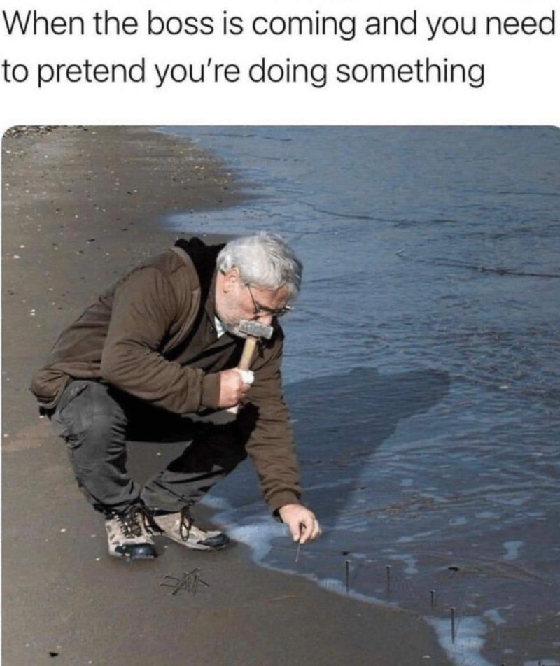 Mayank Pandey on LinkedIn: #meme Mayank Pandey on LinkedIn: #meme