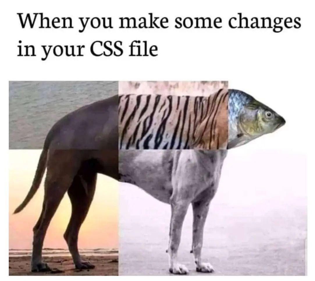 Julluis Wiputra on LinkedIn: Daily Memes | Programming Life memes ... Julluis Wiputra on LinkedIn: Daily Memes | Programming Life memes ...