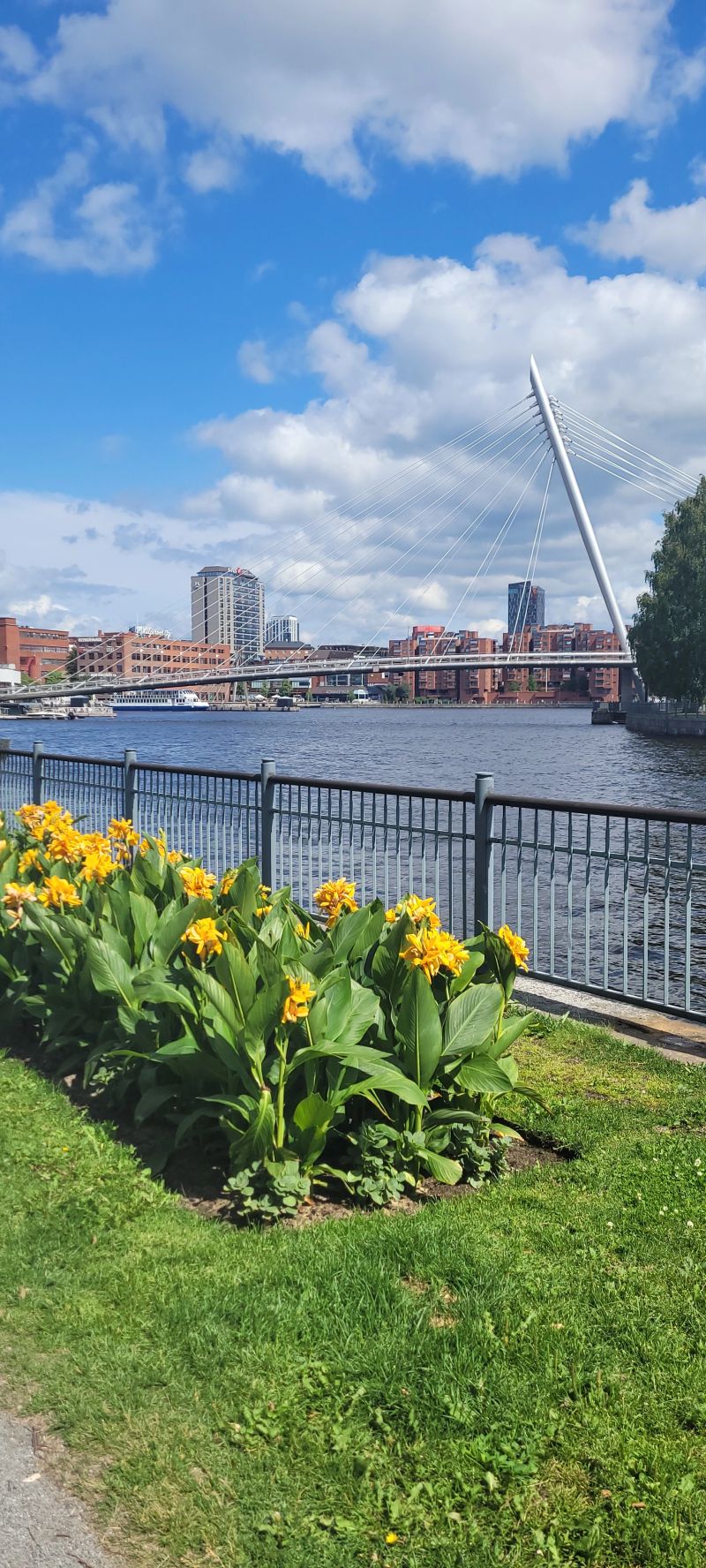 Sari Dangler on LinkedIn: I am blessed to enjoy the beautiful nature of ... Sari Dangler on LinkedIn: I am blessed to enjoy the beautiful nature of ...