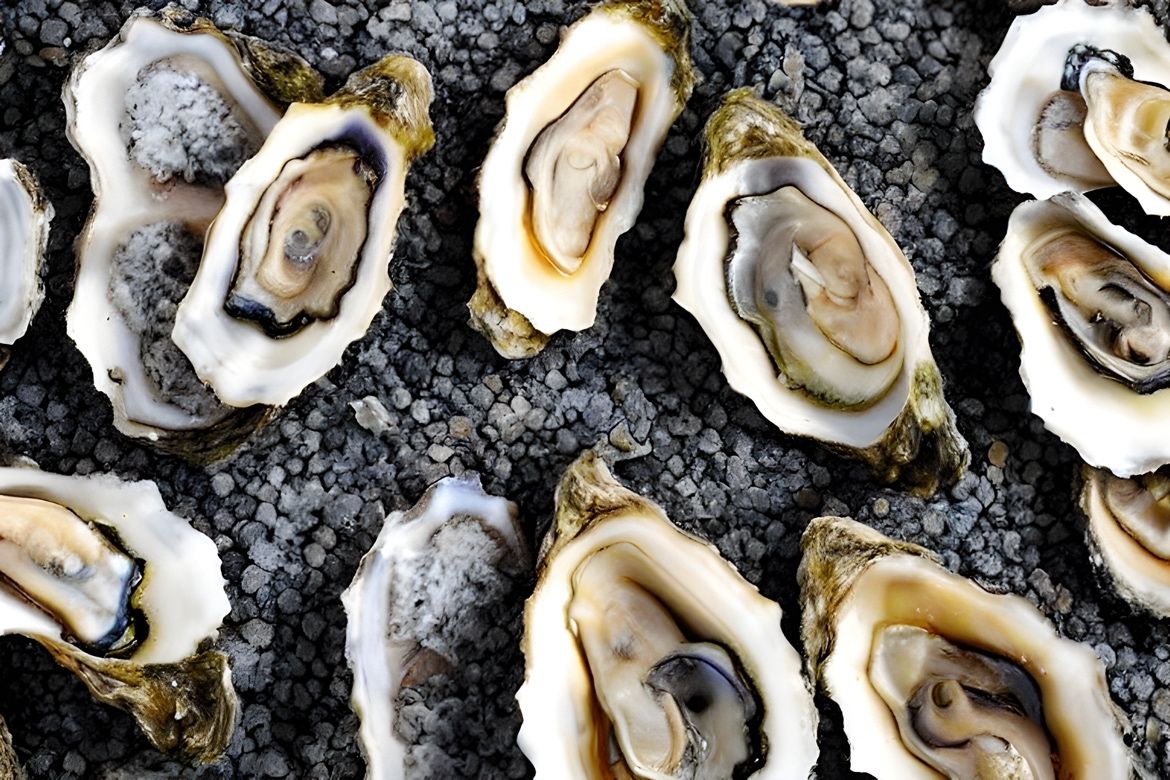 Will Tygart on LinkedIn: Have you ever wondered why oysters taste ... Will Tygart on LinkedIn: Have you ever wondered why oysters taste ...