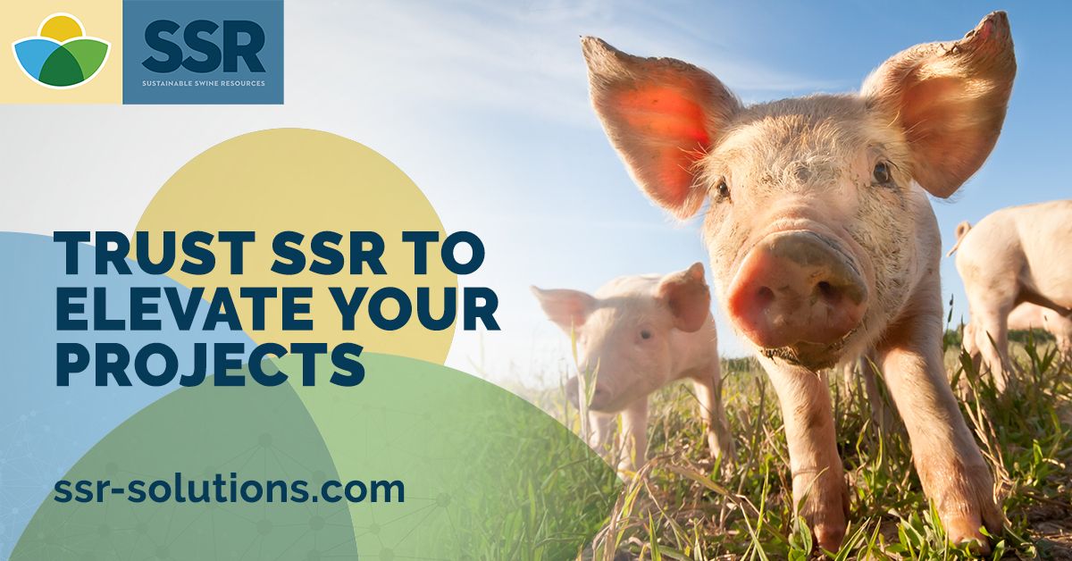 SSR Life Sciences on LinkedIn: 🤝 One partner. Infinite solutions. At ... SSR Life Sciences on LinkedIn: 🤝 One partner. Infinite solutions. At ...