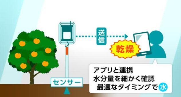 Dragino Technology Co., Limited on LinkedIn: Dragino Soil Moisture ... Dragino Technology Co., Limited on LinkedIn: Dragino Soil Moisture ...