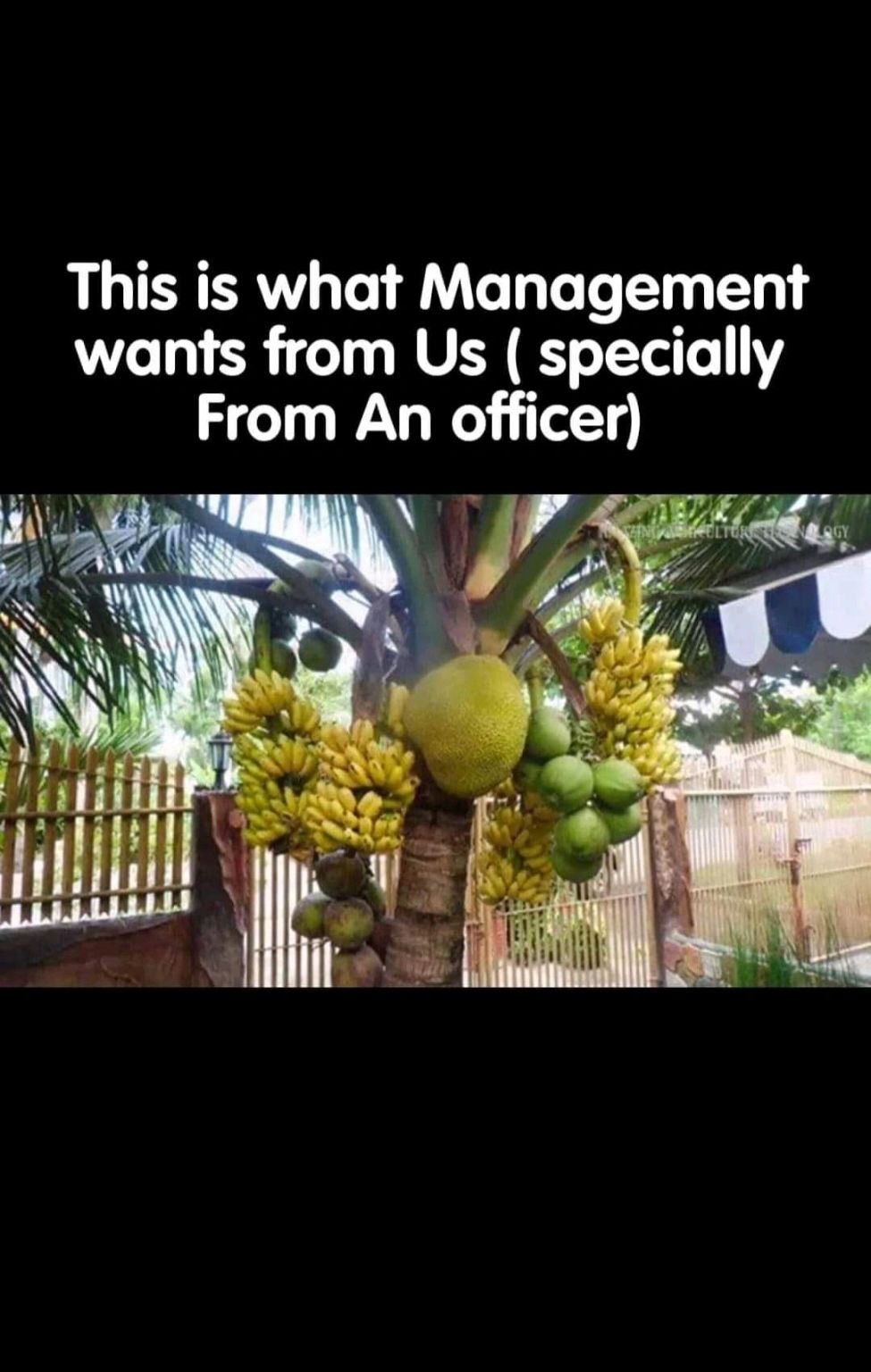 Mohammad Sultan Ul Arefin posted on LinkedIn Mohammad Sultan Ul Arefin posted on LinkedIn