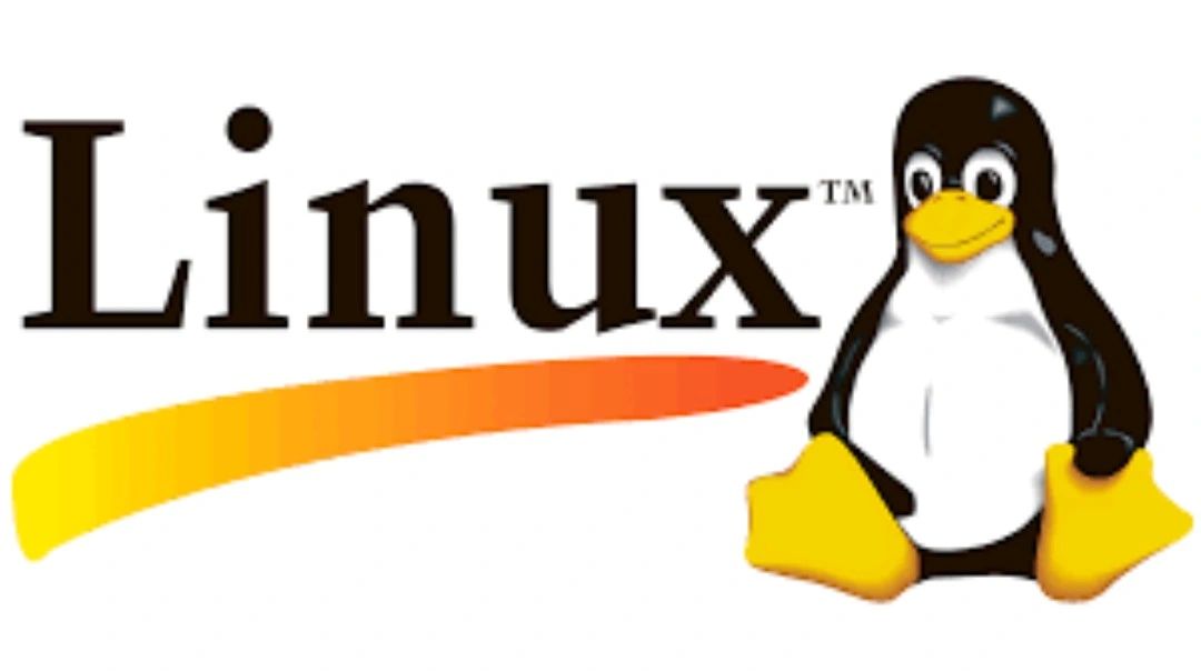 Mohammed Aslam Bin Sheik on LinkedIn: Why is Linux used for DevOps? One ... Mohammed Aslam Bin Sheik on LinkedIn: Why is Linux used for DevOps? One ...