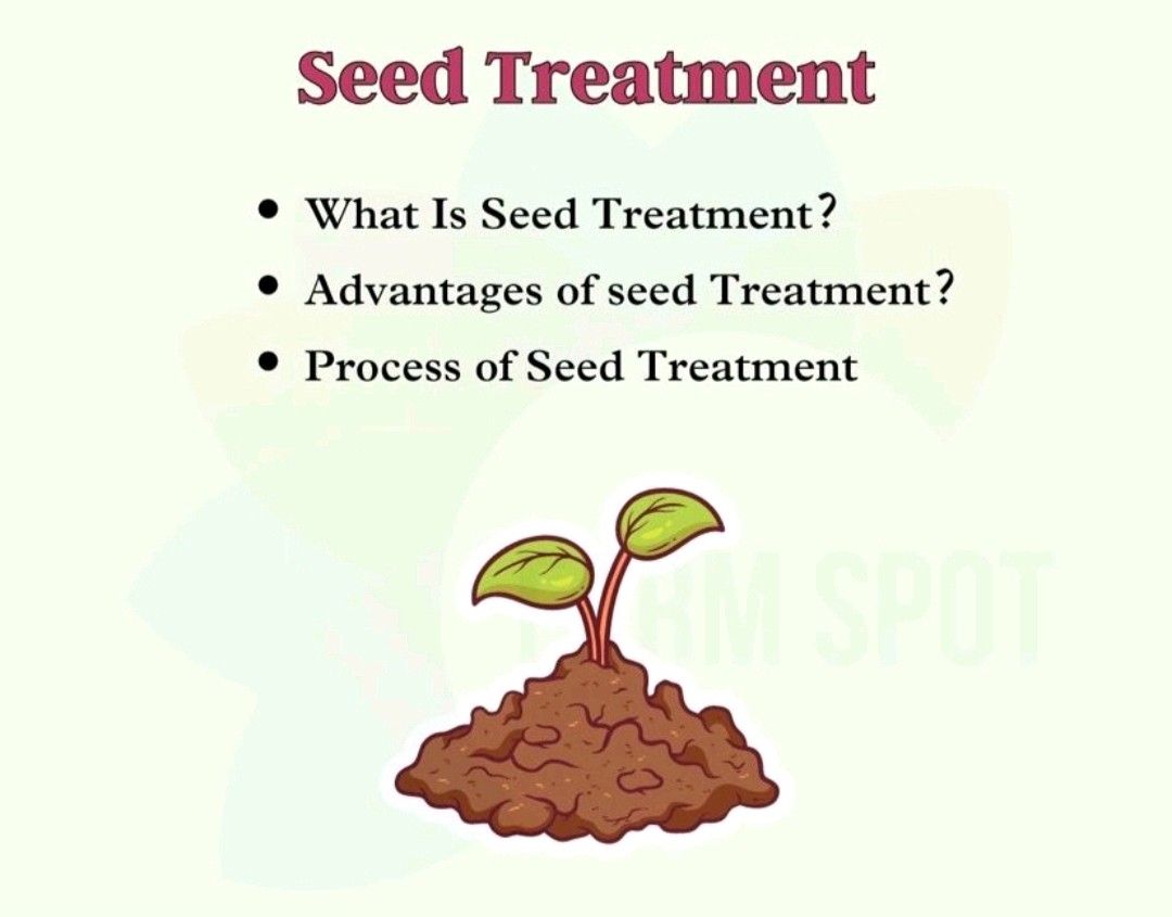 Mangesh Ibidar on LinkedIn: 🌱Seed Treatment! →Seed treatment refers to ... Mangesh Ibidar on LinkedIn: 🌱Seed Treatment! →Seed treatment refers to ...