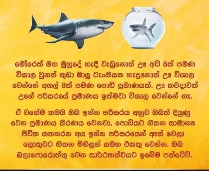 Fathima Asma Haniffa posted on LinkedIn Fathima Asma Haniffa posted on LinkedIn