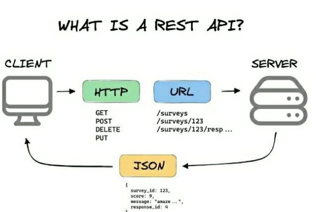 Md Nayan Molla on LinkedIn: #api #frontenddeveloper #reactjs # ... Md Nayan Molla on LinkedIn: #api #frontenddeveloper #reactjs # ...
