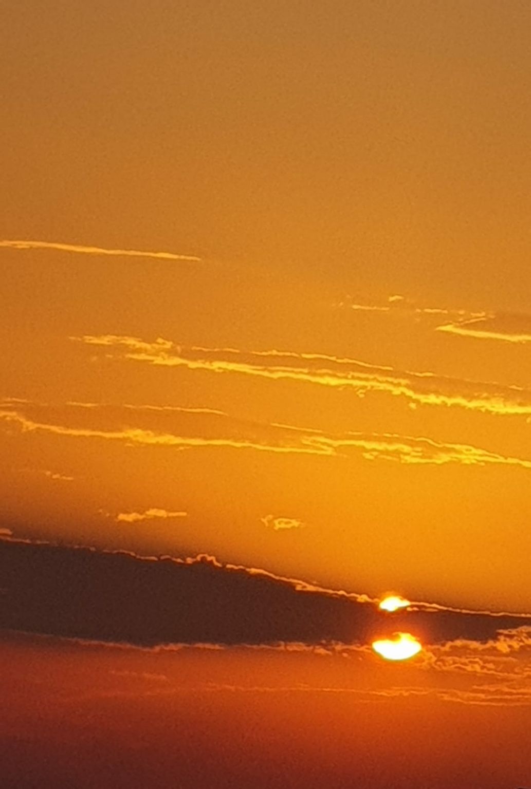 Dr.Anwar Shariff on LinkedIn: image credit Dr.Shariff, The ... Dr.Anwar Shariff on LinkedIn: image credit Dr.Shariff, The ...