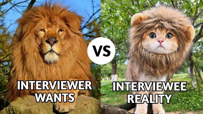 Interviewer wants vs interviewee reality | Netik Kohli posted on the ... Interviewer wants vs interviewee reality | Netik Kohli posted on the ...