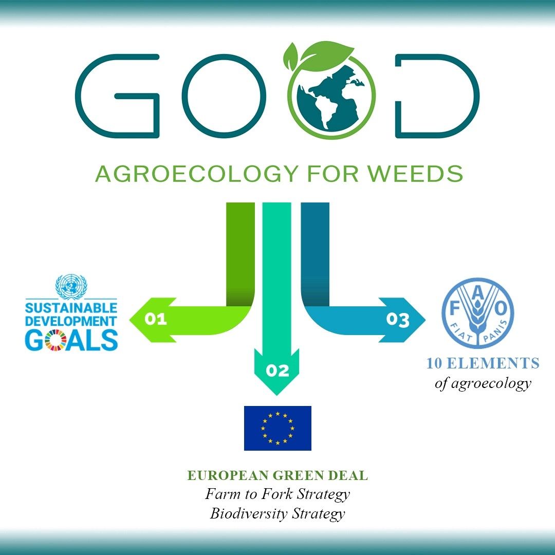 Dimitris Tsaltas on LinkedIn: #cyprus #agroecological #microbial # ... Dimitris Tsaltas on LinkedIn: #cyprus #agroecological #microbial # ...
