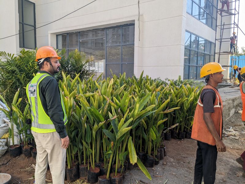 Mayur Salunkhe on LinkedIn: #gardening #landscaping #plants #greenkam Mayur Salunkhe on LinkedIn: #gardening #landscaping #plants #greenkam