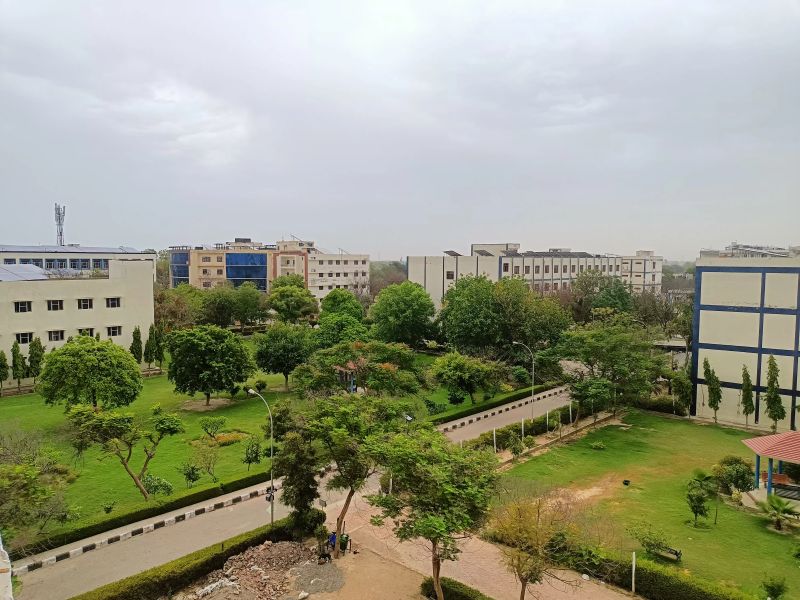 Ajay Dhiman on LinkedIn: #greenery_plus_guru_kashi_university # ... Ajay Dhiman on LinkedIn: #greenery_plus_guru_kashi_university # ...